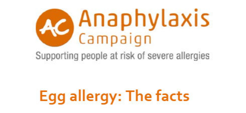 Egg Allergy, the Facts; what happens and why - Pochat Training
